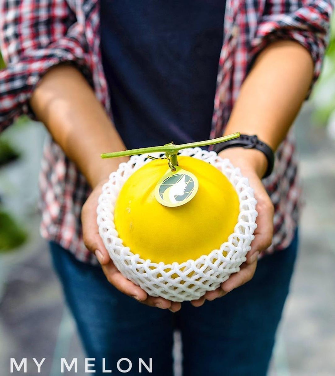 Our Melon Collection – MyMelon Sabah
