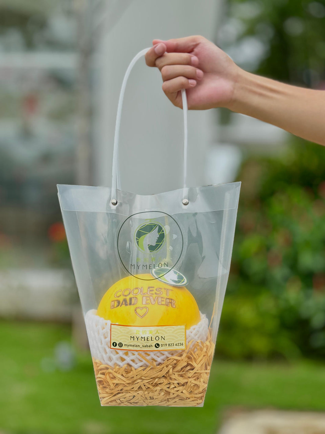 Our Melon Collection – MyMelon Sabah